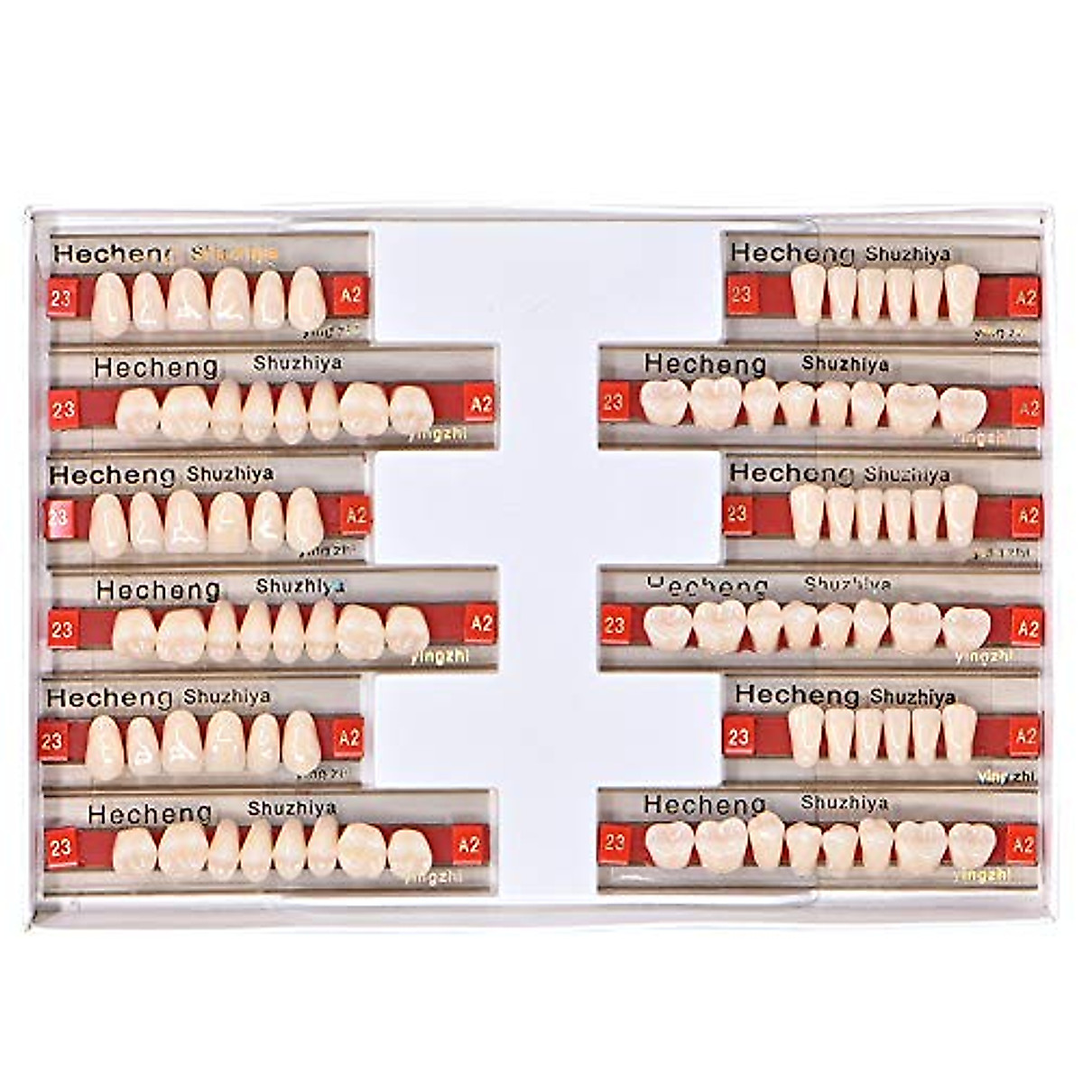 Angzhili 84 Pcs Dental Complete Acrylic Resin Denture False Teeth 3 Sets Synthetic Polymer Resin Denture Teeth 23 Shade A2 Upper + Lower Dental Materials