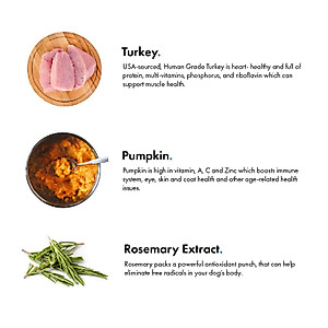 Pet Jerky Factory Turkey & Pumpkin 12 oz. Dog Jerky Treats | 100% Human Grade | USA Made | High Protein | Grain Free | Limited Ingredients | No Filler | BHA-BHT Free | Soft-Tender