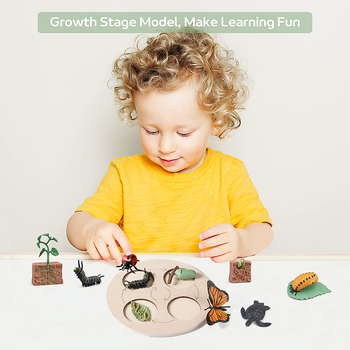 21 PCS Life Cycle Figurines of Butterfly Ladybug Snail Turtle Plant with Wooden Board, Realistic Animal Growth Cycle Figures, Education Learning Growth Stage Model Biology Science Kit Toy for Kids