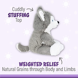 Warm Pals - Hayes Husky - 1.5lbs - Cozy Microwavable Lavender Scented Plush Toys - Heated Stuffed Animal - Heatable Coolable Bedtime Comfort Plushie