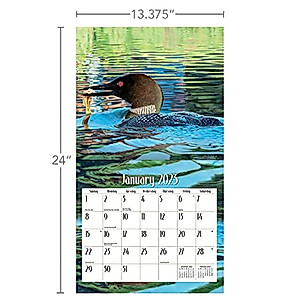 LANG LOONS ON THE LAKE 2023 WALL CALENDAR