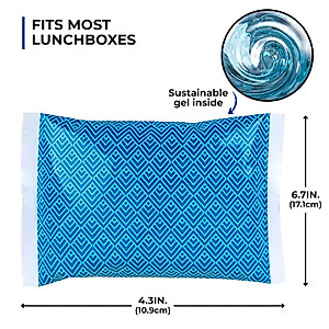 Thrive Ice Packs for Lunch Bags - Reusable Ice Packs for Cooler and Lunch Box - Long Lasting, Lightweight, Soft Gel Ice Packs for Camping, Beach Bags, Picnics, Injuries - Pack of 4
