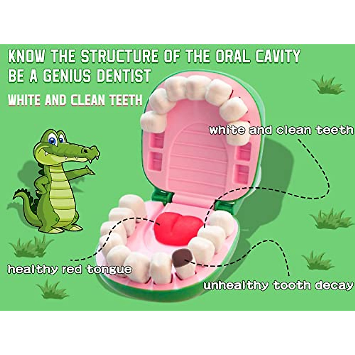 Crelloci Color Dough Dentist Set Tools Crocodile Doctor Modeling Clay Kit Drill and Fill Dough Art & Craft DIY Playset for Toddlers Kids 3 Years and Up Toys Party Birthday Gift.