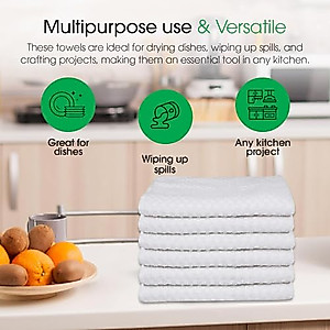 DG Collections Terry Dish Towels, 100% Cotton Kitchen Towels, Set of 6 (18x28 inch) Hand Towels - 400 GSM, Absorbent Terry Cloth Dish Towels for Kitchen, Soft Tea Towels - White Color