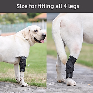 (S/M) Dog Canine Front Leg Brace Paw Compression Wraps with Protects Wounds Brace Heals and Prevents Injuries and Sprains Helps with Loss of Stability Caused by Arthritis