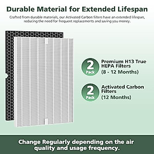 116130 Replacement Filter H Compatible with Winix 5500-2 Air Purifier and AM80-2 Air Purifier Replacement Filter 2 Pack H13 TRUE HEPA Replacements and 2 Pack Activated Carbon Filters Combo Pack (2+2)