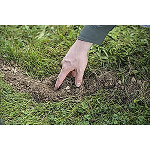 Motomco LTD Tomcat Mole Killer - 39966