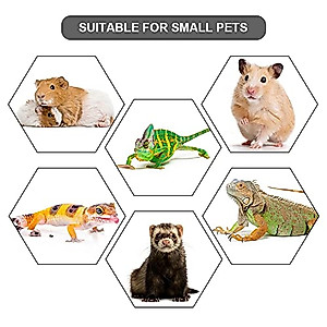 Bearded Dragon Harness Leash, Leather Lizard Traction Belt Adjustable Reptile Leash with Wings for Lizard Amphibians