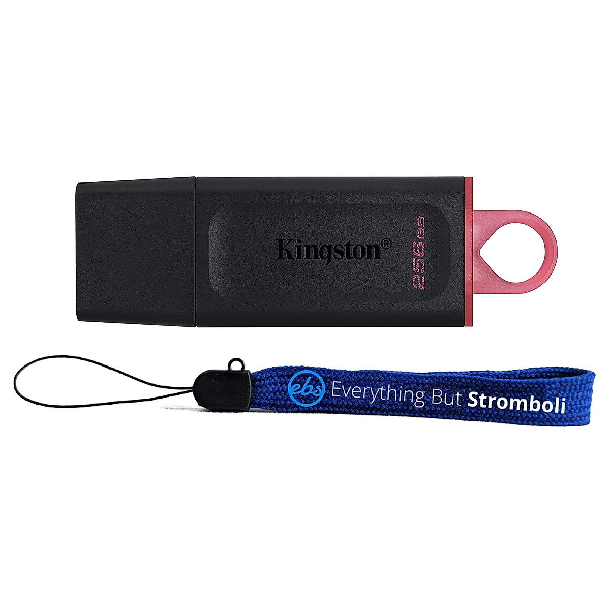 Kingston 256GB Flash Drive DataTraveler Exodia USB 3.2 High Speed 100MB/s USB for Computer (DTX/256GB) Bundle with 1 Everything But Stromboli Lanyard