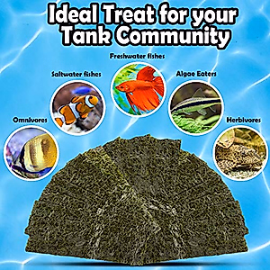 JOR Seaweed Fish Super Snack, Loved by Tangs, Angels, Bettas, Plecos, Hermit Crabs, and Snails, Dense in Vitamins, Beneficial Food Treat Supplement, 1 oz.