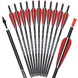 Carbon Crossbow Bolts 20 Inch Hunting Archery Arrows with 4" Vanes Replaced Arrowhead Tip (Pack of 12)