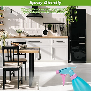 16 oz Peppermint Oil to Repel Mice and Rats, Rodent Repellent Peppermint Oil Spray for Bugs, Mouse, Roaches, Spiders, Ants, Flying Insects and More, Concentrated Formula for Powerful Protection