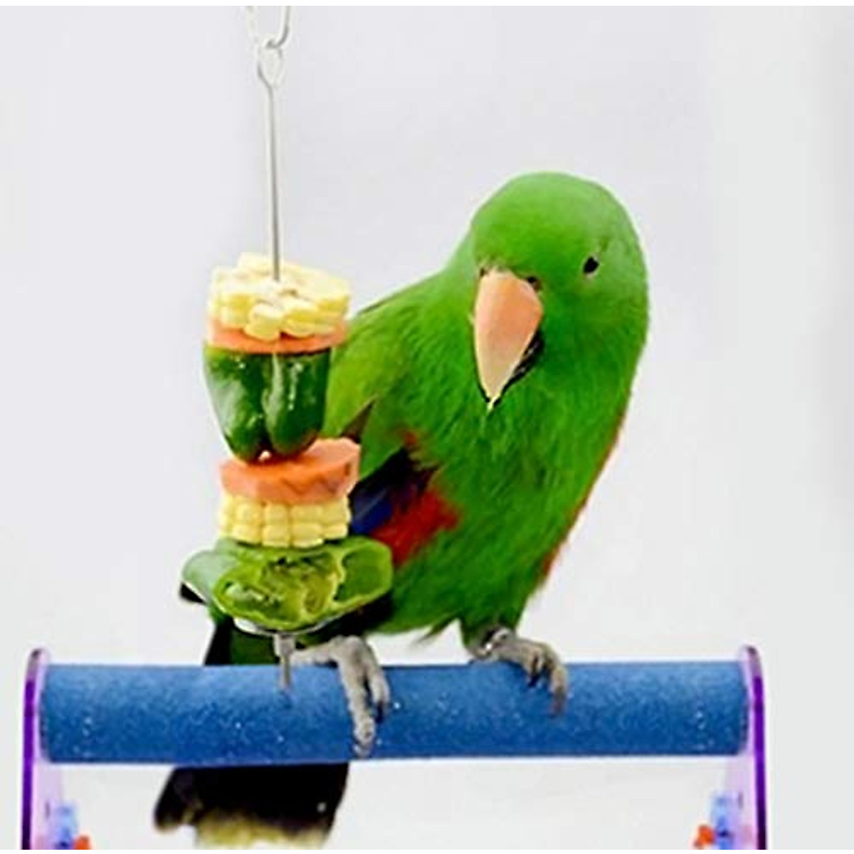 Bird Food Holder,Bird Feeders,Pure Stainless Steel Parrot Fruit Vegetable Stick Holder,Bird Treat Skewer.Holder Vegetable Skewer Food Feed Treating Tool for Parrots(2 Sizes) (Small — 4.7 in (12 cm))