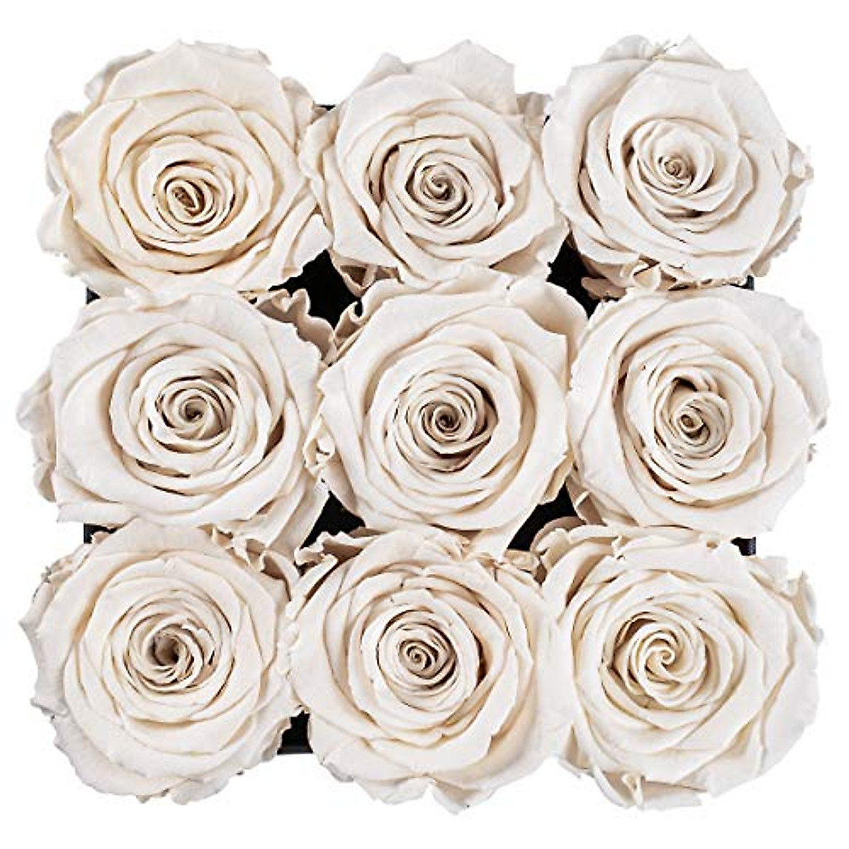 SOHO FLORAL ARTS New Roses Preserved Flowers | Genuine Roses That Lasts for Years | Flowers for Delivery | Large/XL Box (Black Box White Roses 9ct)