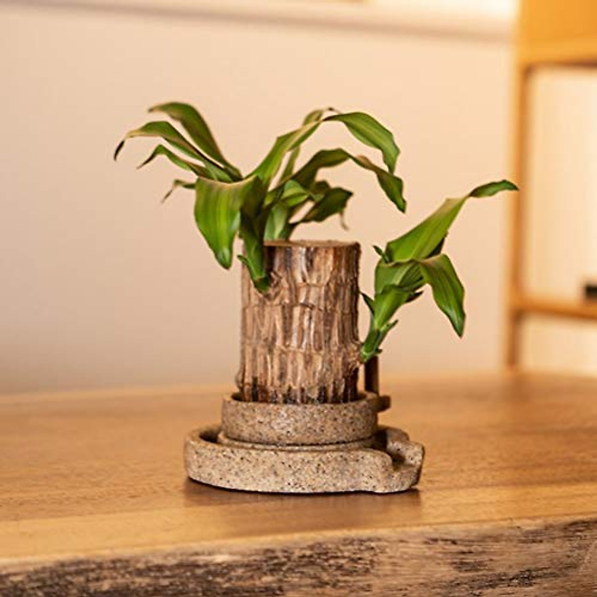 PartyKindom 1pc Ornaments Flower pots for Indoor Plants Planter pots for Indoor House Plants Artificial Plant pots Outdoor Flower pots Mini vase Garden Flowerpot Office Succulents Resin Unique