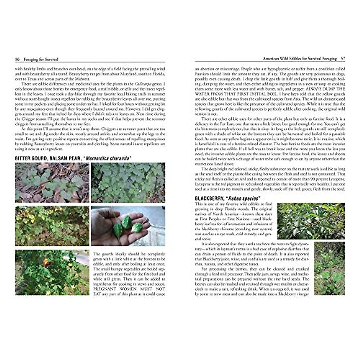 Foraging for Survival: Edible Wild Plants of North America