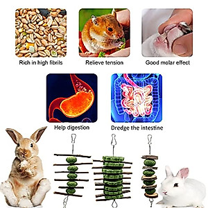 3 Pcs Bunny Teeth Grinding Chew Toys, Apple Branch Chewing Sticks with Grass Ball and Grass Cake for Rabbits Bunnies Hamsters Guinea Pigs