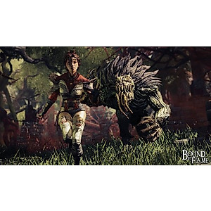 Bound by Flame - PlayStation 4 Standard Edition