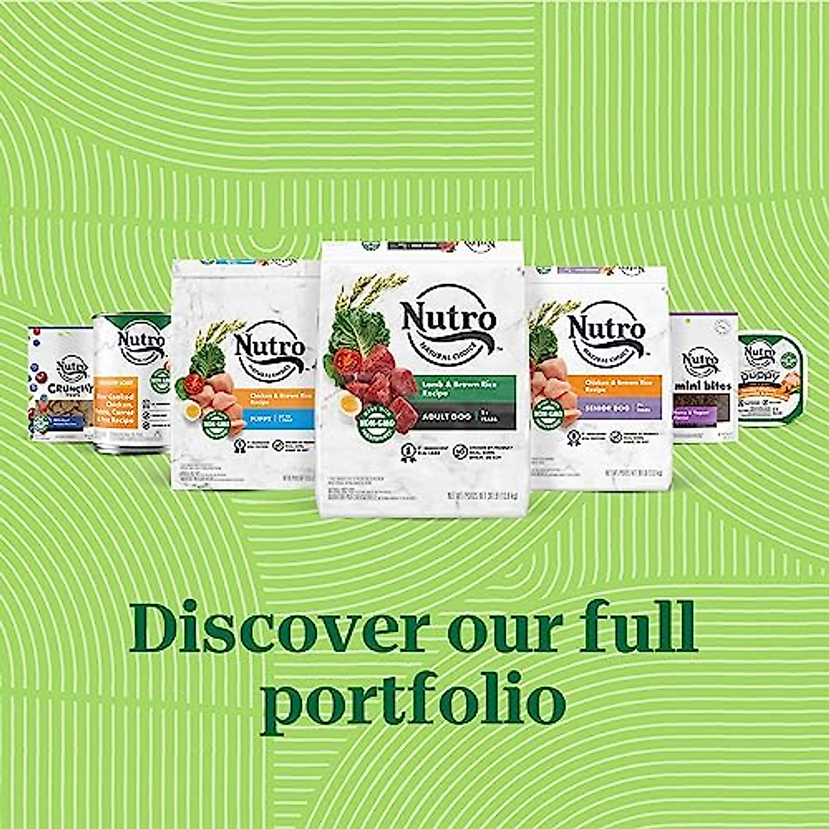 NUTRO NATURAL CHOICE Large Breed Puppy Dry Dog Food, Chicken & Brown Rice Recipe Dog Kibble, 30 lb. Bag