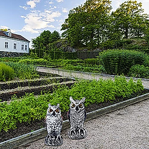 Glintoper 2 Pack Plastic Fake Owl Bird Scarecrow Horned Decoy, Bird Deterrents Scary Birds Away, Nature Enemy Pest Repellent for Outdoor Garden Yard Protectors