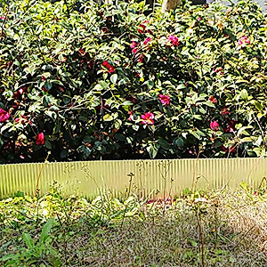 Gardzen Landscape Edging Border, 6 inch × 20 feet Garden Lawn Edging for Vegetable Raised Bed and Flower Bed