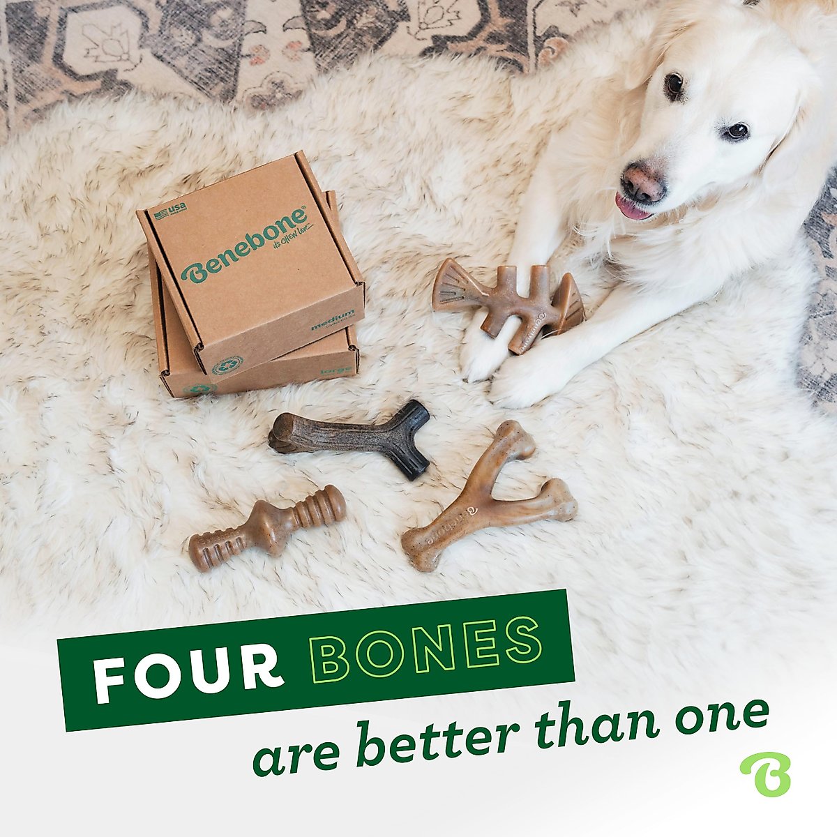 Benebone Small 4-Pack Dog Chew Toys for Aggressive Chewers, Made in USA, 30lbs and Under