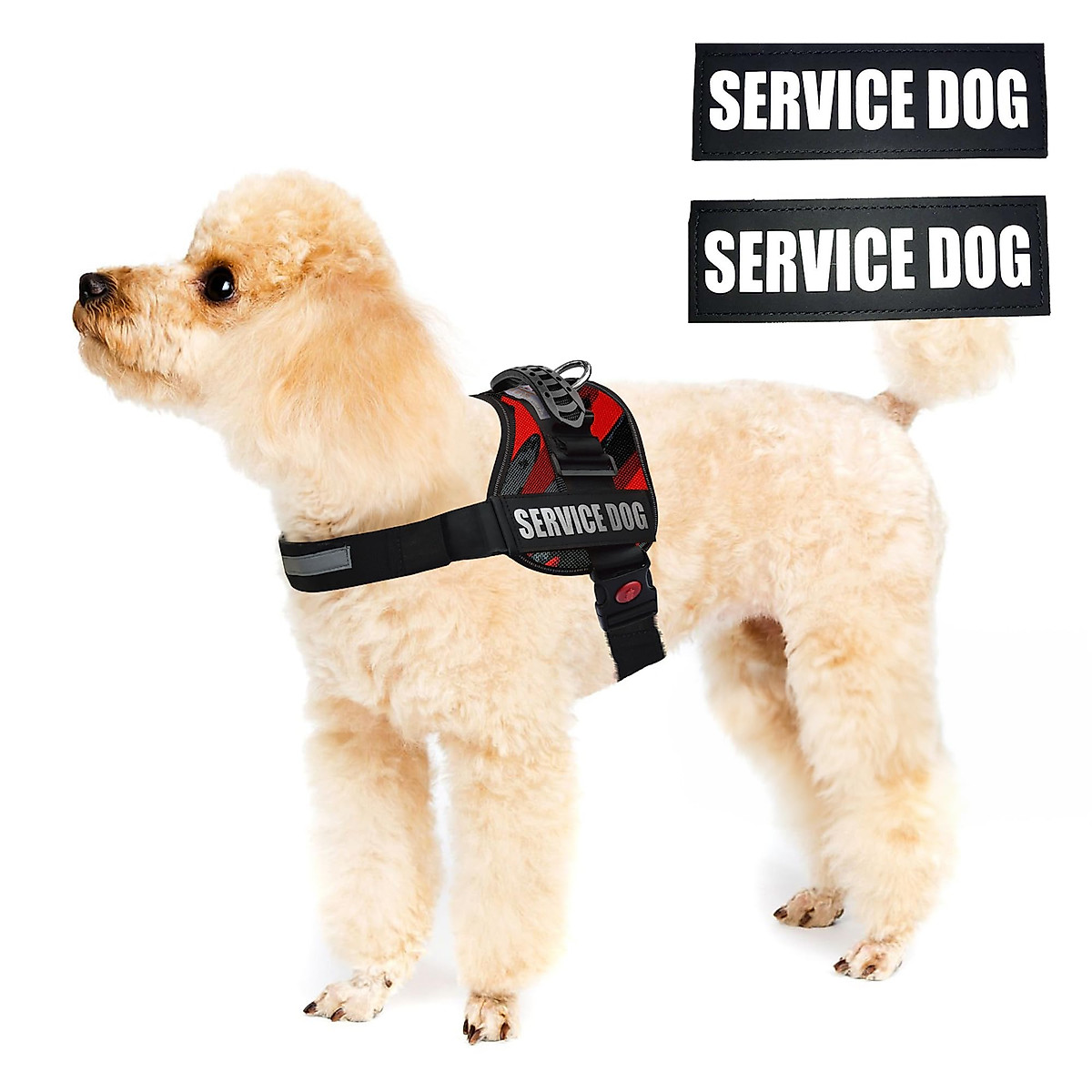 ALBCORP Service Dog Vest Harness - Reflective - Woven Polyester and Nylon, Comfy Mesh Padding - Sizes from XXS to XL – Service Dog Patches Included. Red Camo, Large