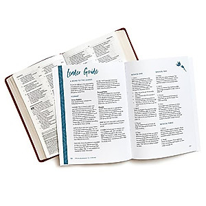 From Beginning to Forever - Bible Study Book with Video Access: A Study of the Grand Narrative of Scripture