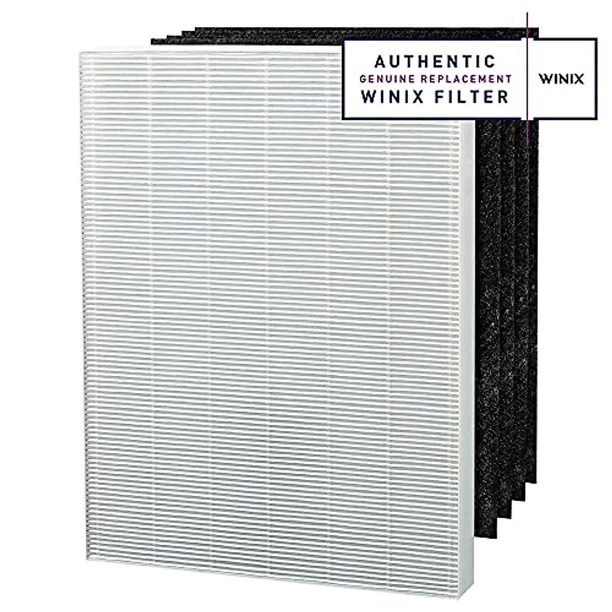 Genuine Winix 115115 Replacement Filter A for C535, 5300-2, P300, 5300, White/Black