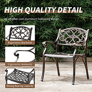 PATIO-IN 2 Pieces Patio Dining Chairs Cast Aluminum Bistro Chair Set, All Weather Outdoor Chair with Bronze MAluminum Frame for Outdoor Lawn Garden (Bronze)