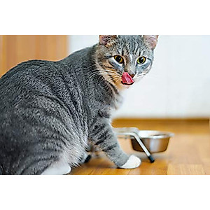 PET SUPPLEMENTS cat Digestive enzymes - CAT PROBIOTIS - Immune Support - Savory Beef Flavor - Natural Formula - cat probiotics for Vomiting - 1 Bottle (60 Treats)