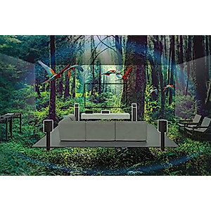 Sony STR-AN1000 7.2 CH Surround Sound Home Theater AV Receiver, Dolby Atmos, DTS:X, Bluetooth, WiFi, Google Chromecast, Spotify Connect, Apple AirPlay, HDMI 2.1