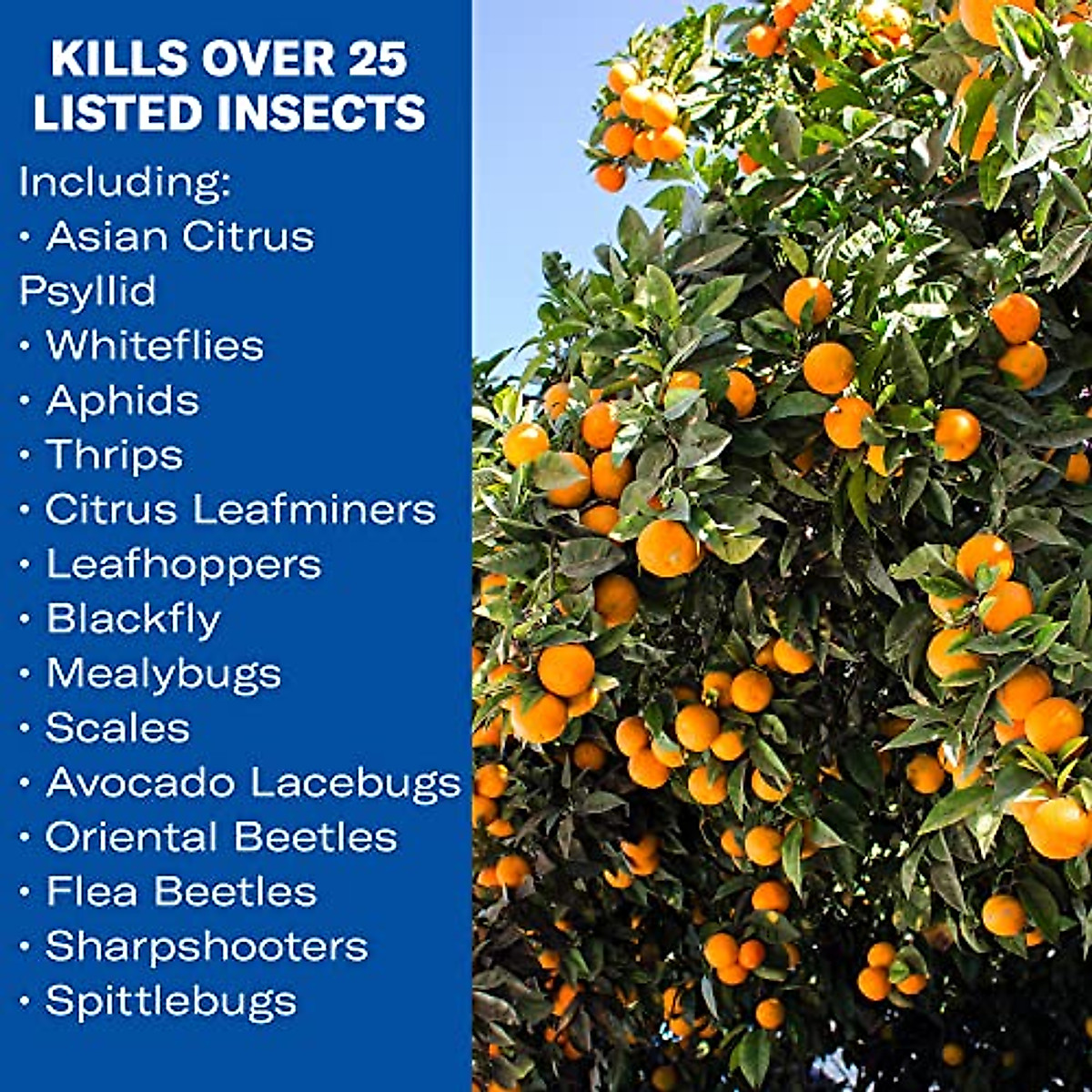 BioAdvanced Fruit & Citrus Tree, Concentrate, for Insects 32 oz
