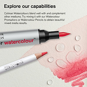 Winsor & Newton Cotman Watercolor Paint, 8ml (0.27-oz) Tube, Permanent Rose