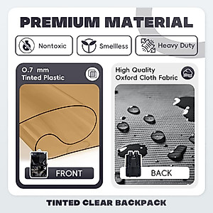 Clear Laptop Backpack Heavy Duty, 17 Inch Trendy Laptop Backpack, Water Resistant Transparent Travel Bags Apply to Men/Women, Amber Clear Glue Material, Built in Detachable Laptop Sleeves (Black)