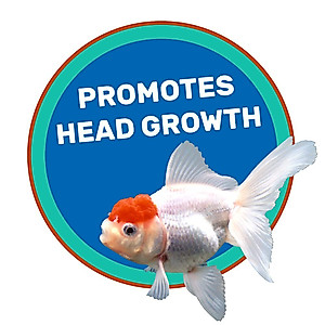 Hikari Lionhead Sinking Mini Pellets, 3.5 ounces