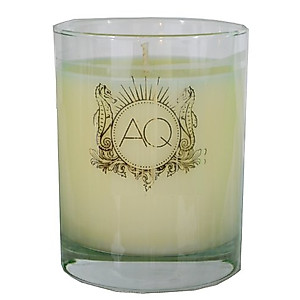 Aquiesse Winter Currant Scented Soy Candle - 11 oz.
