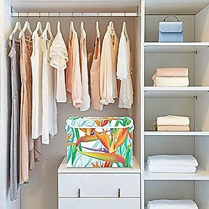 WELLDAY Birds Of Paradise Flower Storage Baskets Foldable Cube Storage Bin with Lids and Handle, 16.5x12.6x11.8 In Storage Boxes for Toys, Shelves, Closet, Bedroom, Nursery