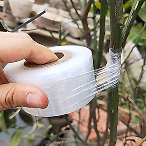 Happyyami Roll Grafting Tape Stretchable Garden Grafting Tape Plants Repair Tapes Self- Adhesive Clear Floristry Film for Garden Nursery Fruit Trees Garden Budding Tree 120m