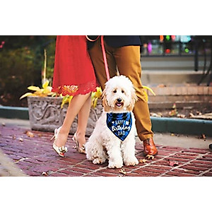 Ptzizi Funny Blue Plaid Happy Birthday Dad Dog Printed Triangle Bandana, Small Medium Large Boy Pet Dog Birthday Party Scarf Bib Accessories for Pet Dog Lovers Gift
