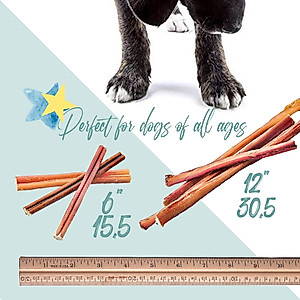 BullyBae 6" Natural Bully Stick Dog Treats - Healthful Dog Chews (Medium 15 Count)