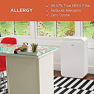 Aprilaire Allergy True HEPA Room Air Purifier 9550 with 3-Stage Filtration, Captures Allergens & Odors, Ozone Free, 495 sq. ft. Rooms