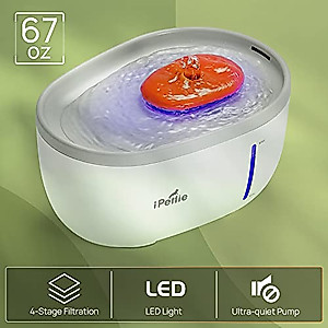 iPettie Avocado Pet Water Fountain with LED Light, 67oz/2.0L, Ultra Quiet Cat Water Fountain with Filter, Automatic Pet Water Fountain for Cats and Small Dogs, White