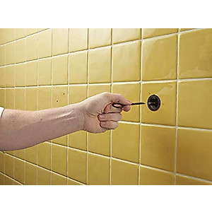 Moen SMA1000CH Home Care SecureMount Anchor 1 Pair, No Size, Chrome