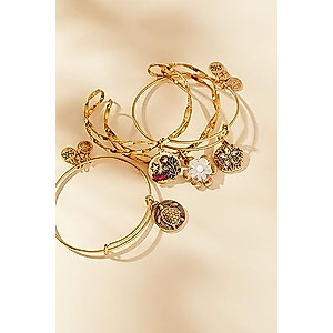 Alex and Ani Turtle Charm Bangle Bracelet, Shiny Gold Finish, 2 to 3.5 in