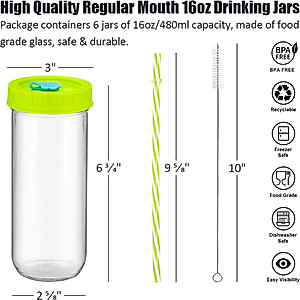 Glass Drinking Bottle Travel Drinking Jars 6 Pack, 16oz Mason Jars Regular Mouth Beverage Bottle with Airtight Lids &Straws, Reusable Water Bottle Skinny Tumbler for Juice/Smoothies,/Kombucha/Tea/Milk