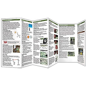 Basic & Primitive Navigation: A Folding Pocket Guide to Wilderness Skills & Techniques (Pathfinder Outdoor Survival Guide Series)