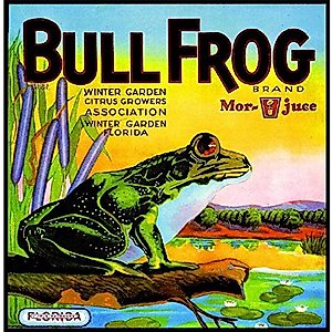TYmall Vintage Metal Sign Wall Plaque Winter Garden Florida Bull Frog Orange Citrus Fruit Crate Box Label Art Print Home Bar Man Cave Garage Kitchen Decor Sign 12X16 Inch