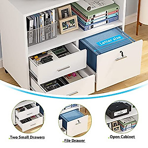 LITTLE TREE 005 File Cabinet, White