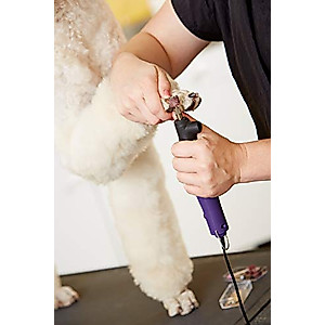 Andis EasyClip 2-Speed Nail Grinder(65880)